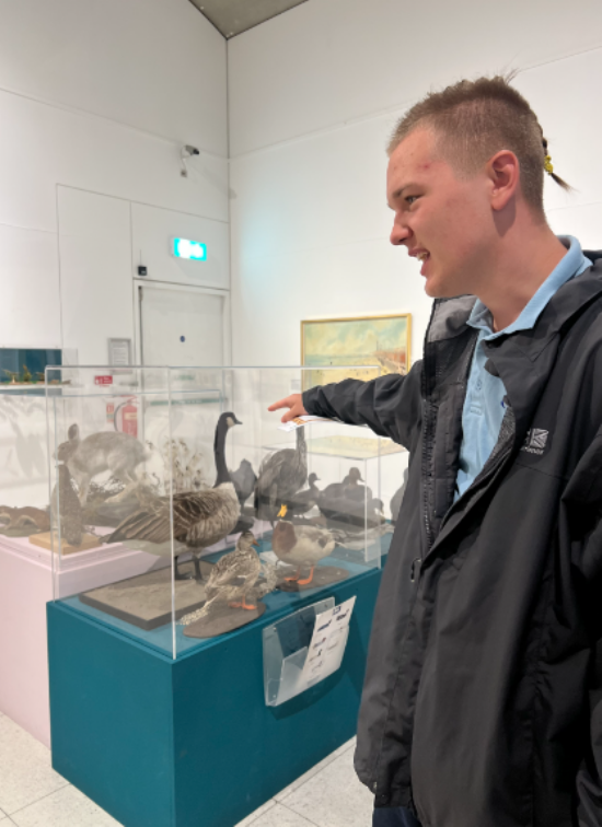 New Bridge School - Home